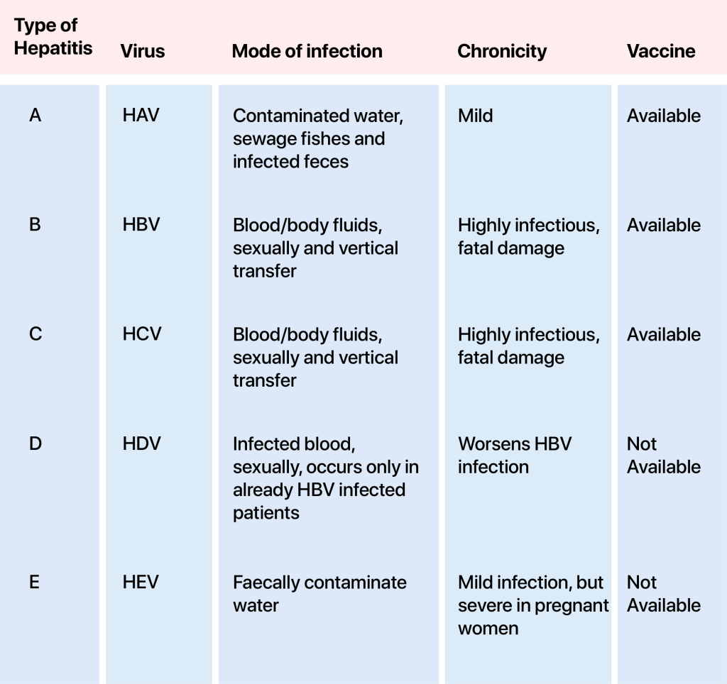 28th July World hepatitis day: Invest on eliminating hepatitis